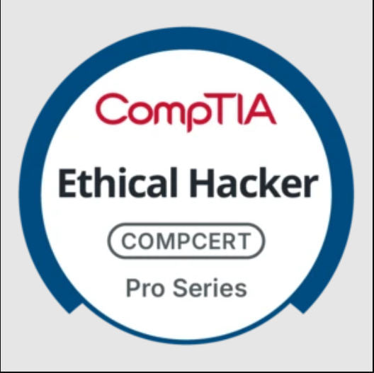 TestOut Ethical Hacker Pro - Individual (12 Month Access) – CompTIA Mastery